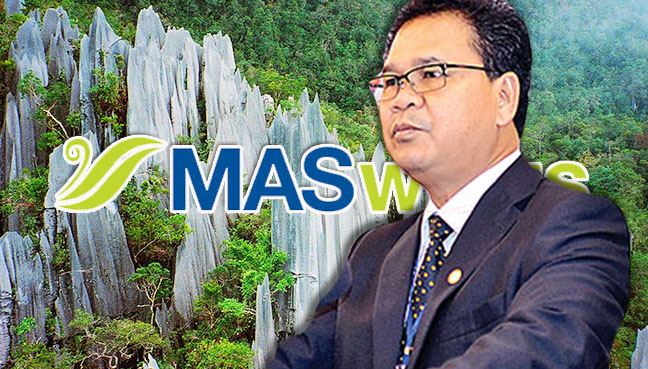MASwings urged to improve connectivity to Mulu National Park | Free ...