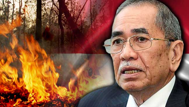 Wan Junaidi: Indonesia must amend forest fire laws | Free Malaysia ...