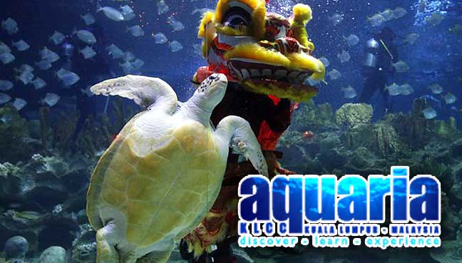 Tonton opera Cina dalam air di Aquaria KLCC | Free Malaysia Today (FMT)