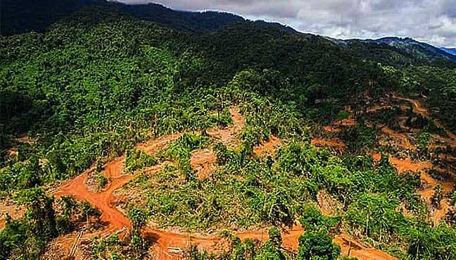 Lush paradise of Merapoh devastated by logging, mining | Free Malaysia ...