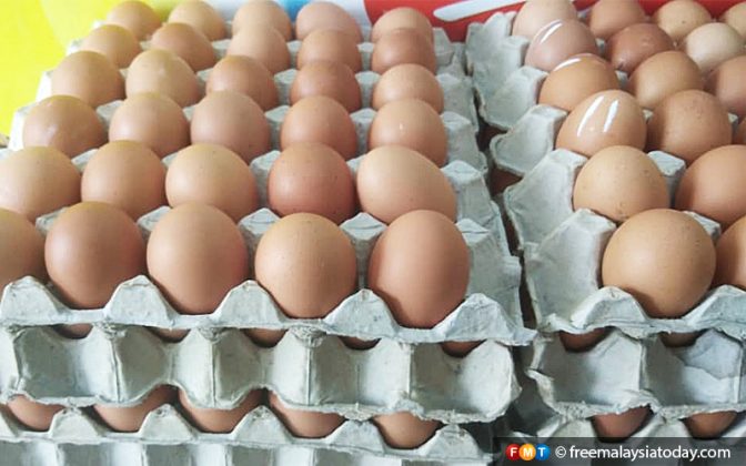 Malaysians Must Know the TRUTH: Harga telur gred E masih lebih tinggi ...