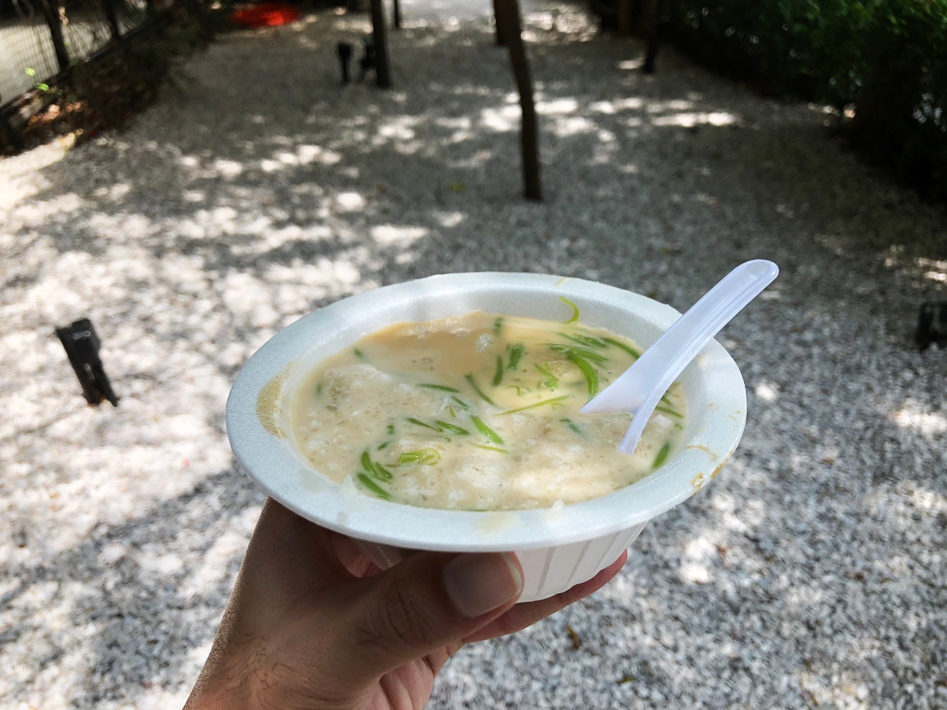 Malaysia’s pride: Chilled, sweet, mouthwatering Cendol | Free Malaysia ...