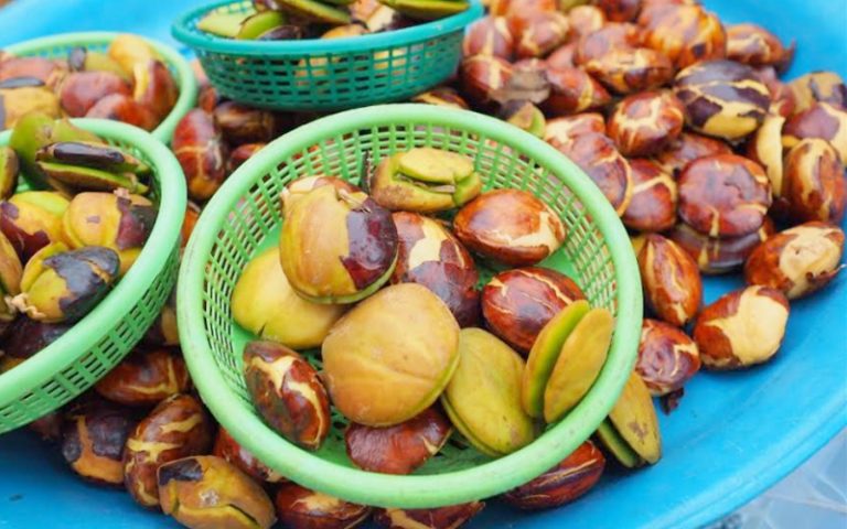 Jering dan kandungan asid djenkolik yang dimilikinya | Free Malaysia ...