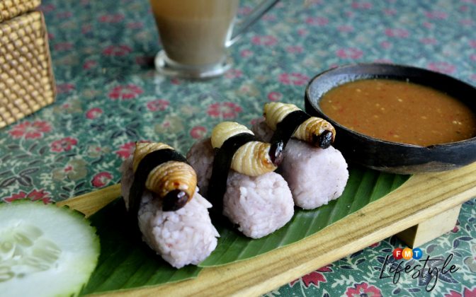 Sabah’s traditional sago grub now a popular delicacy | Free Malaysia ...