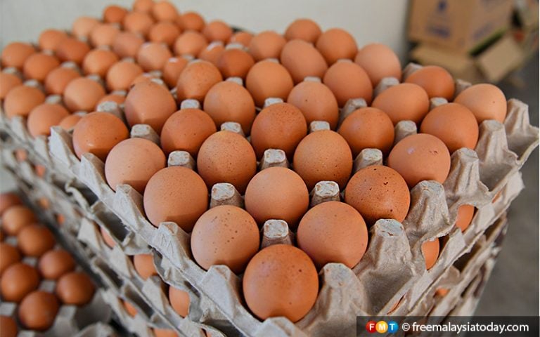 Importing eggs won’t resolve shortage, govt told | Free Malaysia Today ...