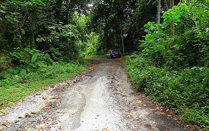 Red3vil: Malaysia’s Mimaland, a sad reminder of a splendid past