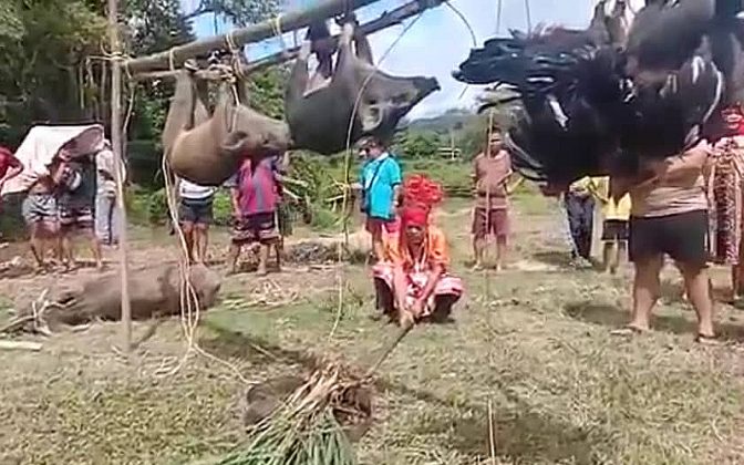 Malaysians Must Know the TRUTH: Marriage cleansing ceremony shows power ...