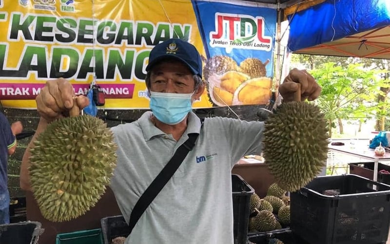 No durian glut in Balik Pulau, says Fama | Free Malaysia Today (FMT)