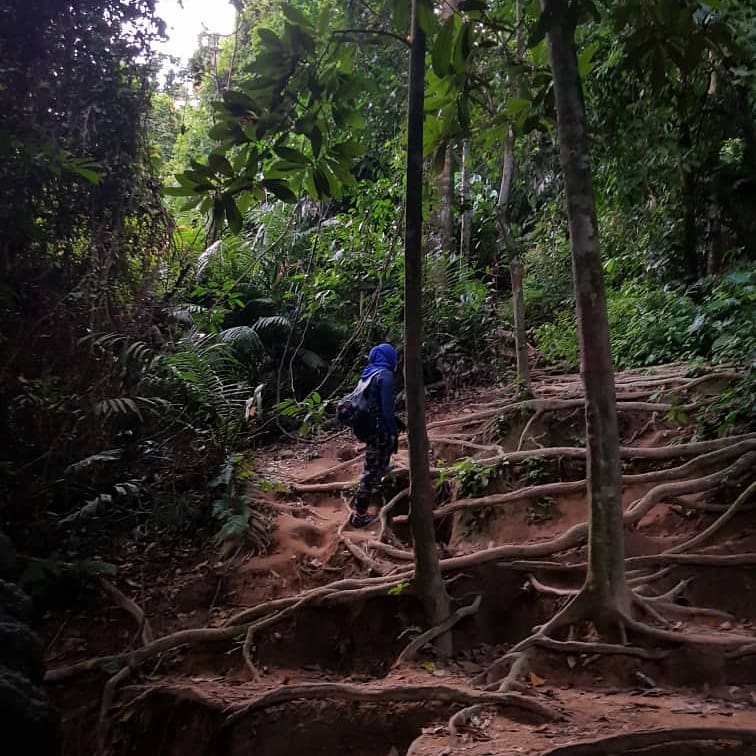 Gunung Datuk, the jewel of Negeri Sembilan | Free Malaysia Today (FMT)
