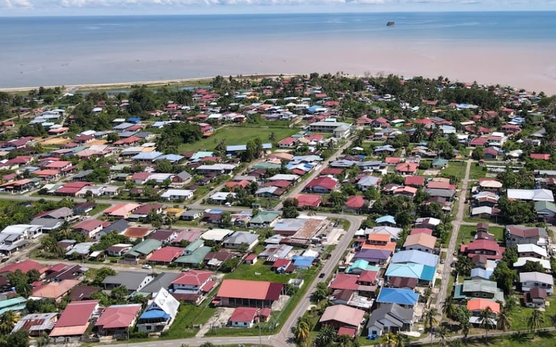 Papar latest Sabah district hit with African swine fever | Free ...