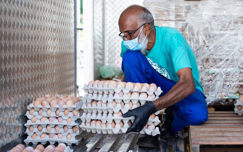 The Lost Food Project aims to change food culture | Free Malaysia Today ...