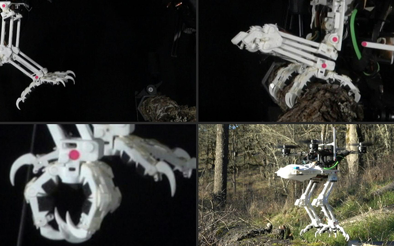 Engineers build ‘bird bots’ that can grab objects | Free Malaysia Today ...