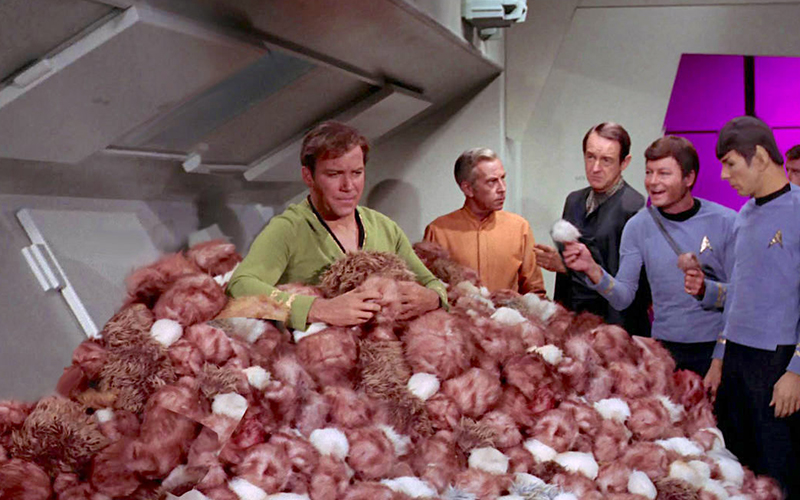 Meet Mr Happy Face, the world’s ugliest dog | Free Malaysia Today (FMT)