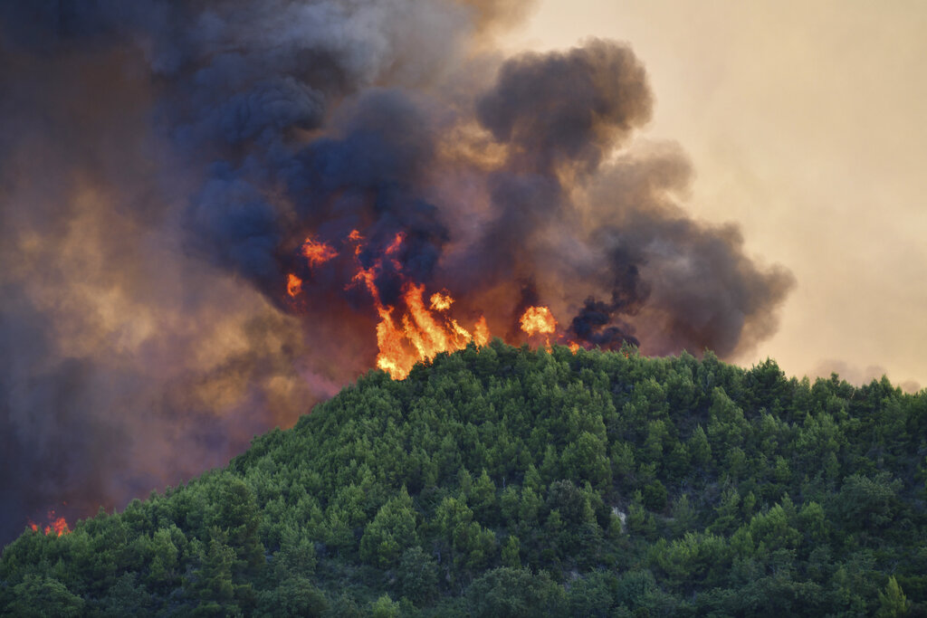 More than 600,000 hectares razed by Europe’s wildfires this year | Free ...