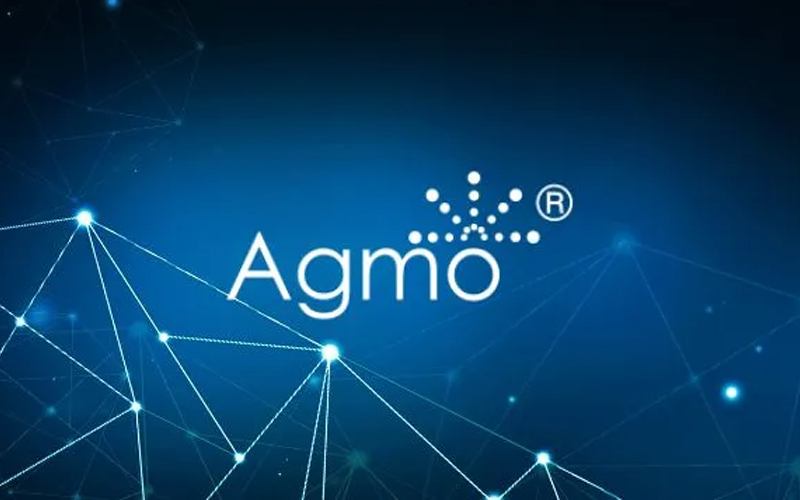 IT specialist Agmo to raise RM22 mil in IPO | Free Malaysia Today (FMT)