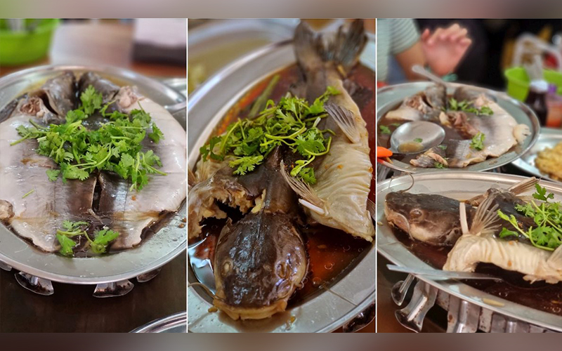 Fresh river fish at Hon Kee Restaurant, Gua Musang | Free Malaysia ...