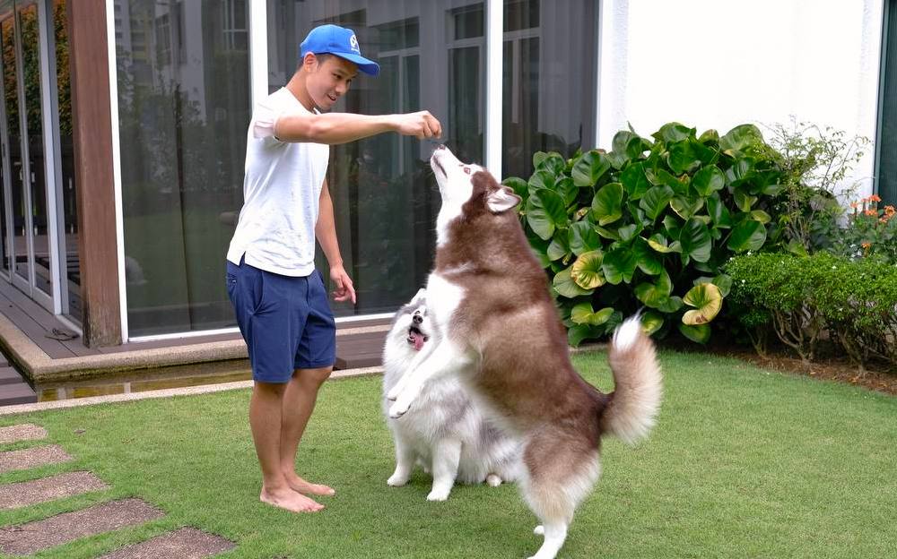 Meet Winter and Roxy, Keith Tang’s two beautiful girls | Free Malaysia ...