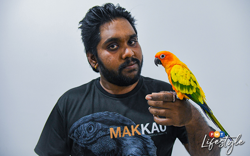 Meet Jada, the parrot who has become a human’s special friend | Free ...