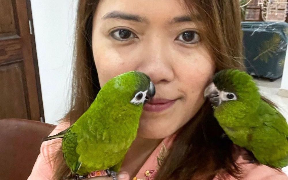 Meet Pickles and Kiki, the quirky Hahn’s macaw ‘sisters’ | Free ...