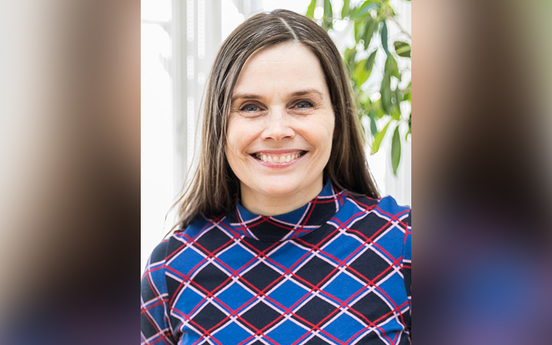 Iceland’s thriller-loving PM publishes debut crime novel | Free ...