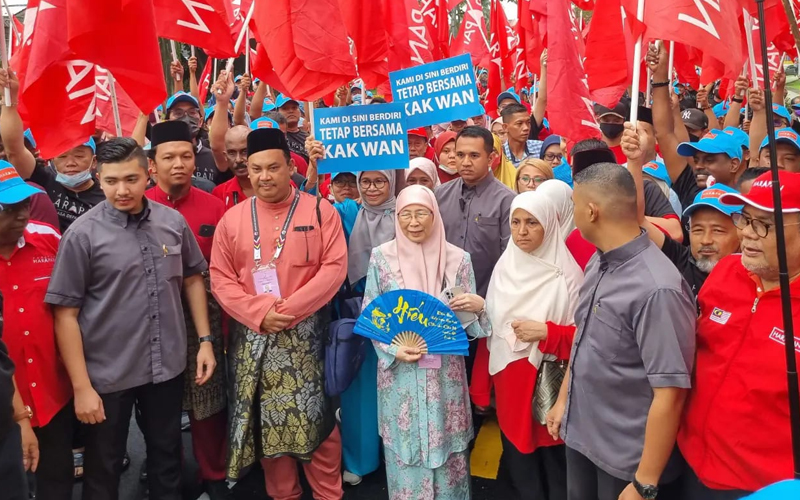 Wan Azizah cetus ‘panik’, lupa bawa kad pengenalan | Free Malaysia ...