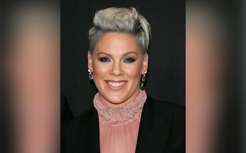Singer Pink opens American Music Awards on skates | Free Malaysia Today ...