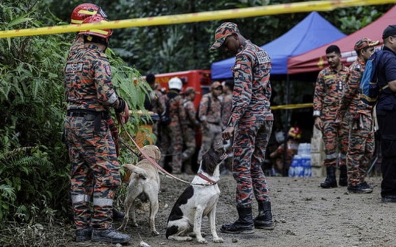 Tanah runtuh: Anjing pengesan ‘kecundang’ selepas kerja lebih masa dua ...